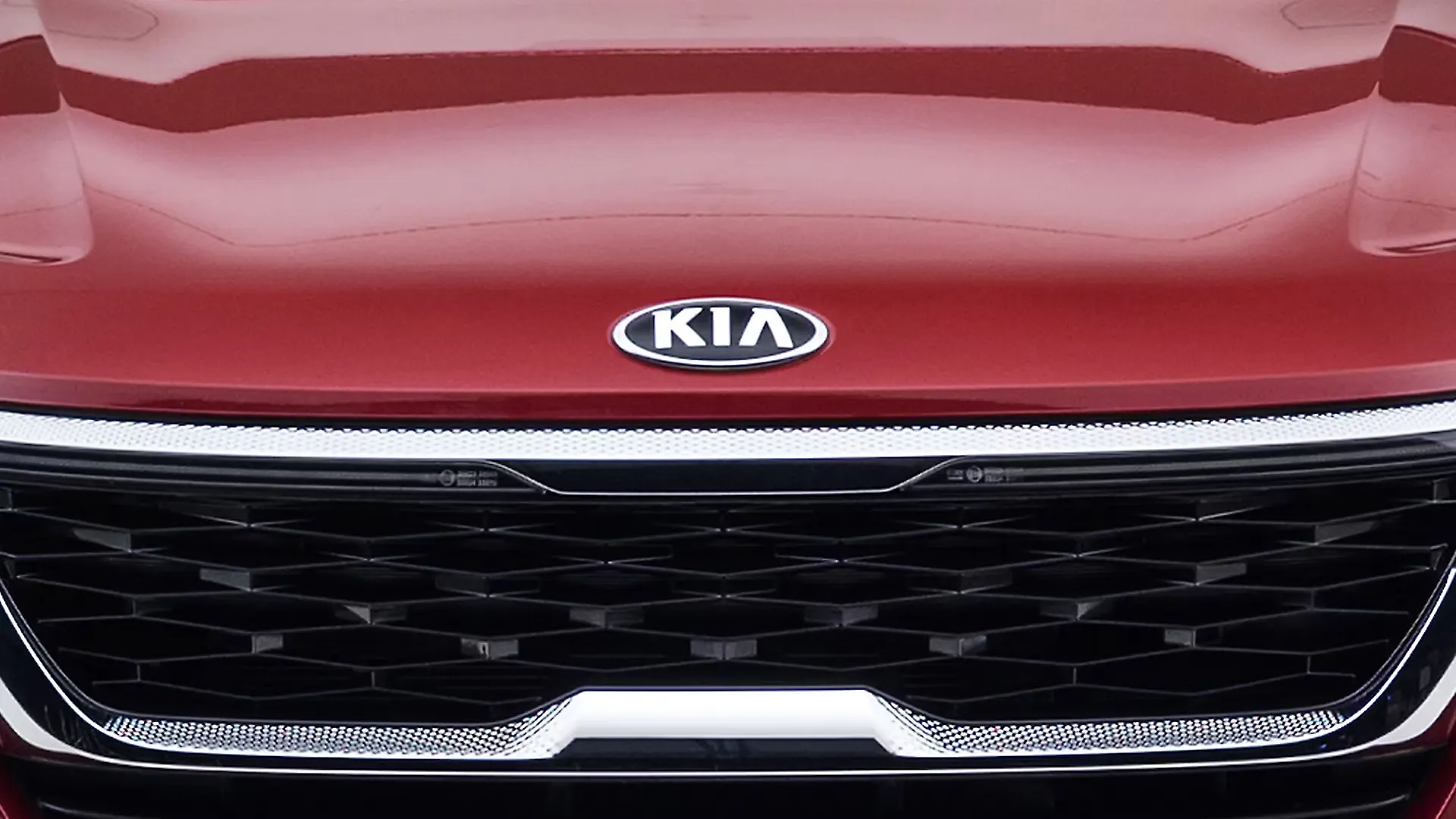 Seltos Front Logo Image, Seltos Photos in India - CarWale