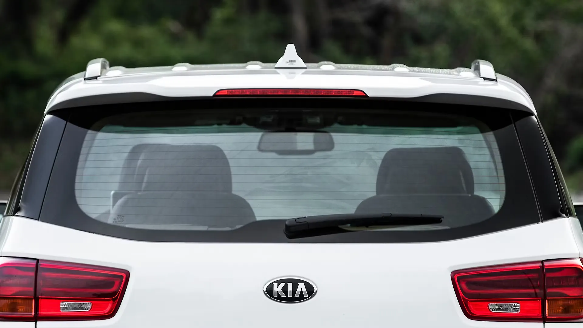 Carnival Rear Windshield/Windscreen Image, Carnival Photos in India ...