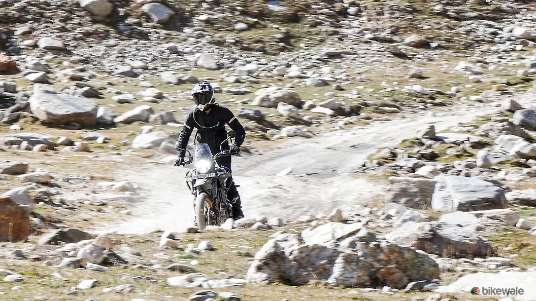 Royal Enfield Himalayan 450 Right Side View Image – BikeWale