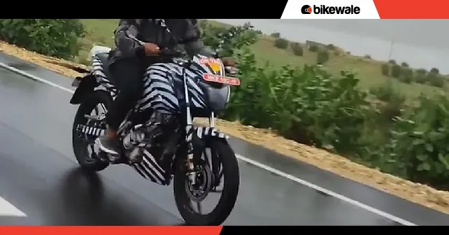 Bajaj’s TVS Raider rivaling Pulsar N125 spotted testing - BikeWale